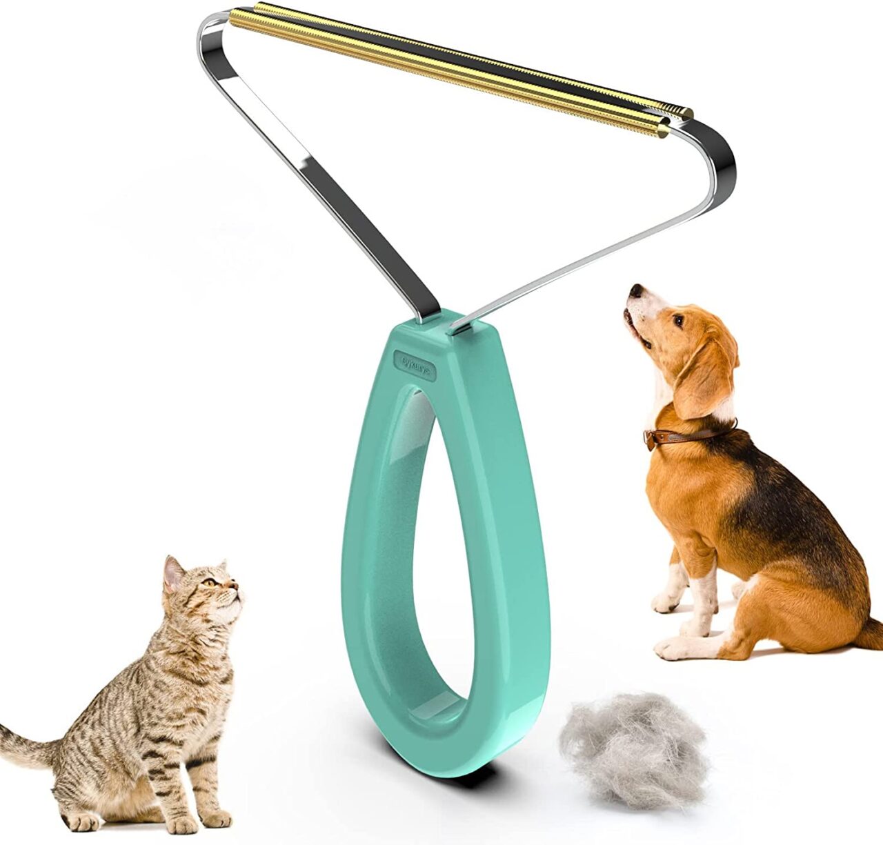 Best Cat Products - Ragdoll Kittens by Kelly | Ragdoll Cat Breeder in ...