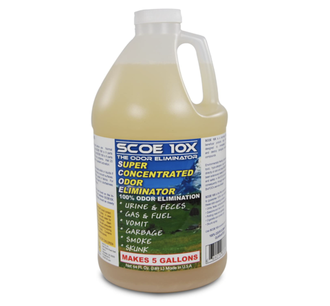 Best Cat Products - Ragdoll Kittens by Kelly | Ragdoll Cat Breeder in ...