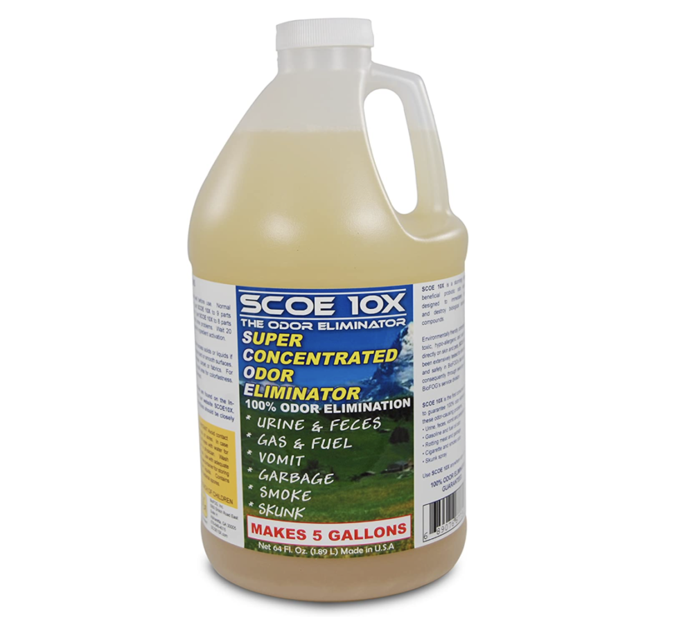 Best Cat Products - Ragdoll Kittens by Kelly | Ragdoll Cat Breeder in ...