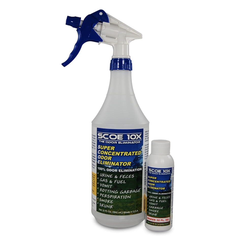 Best Cat Products - Ragdoll Kittens by Kelly | Ragdoll Cat Breeder in ...